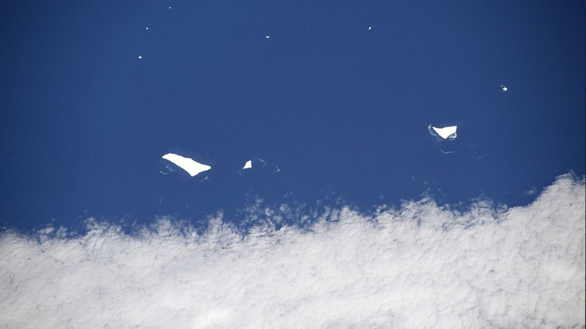 ISS astronaut snaps amazing photos of icebergs from space | Live Science