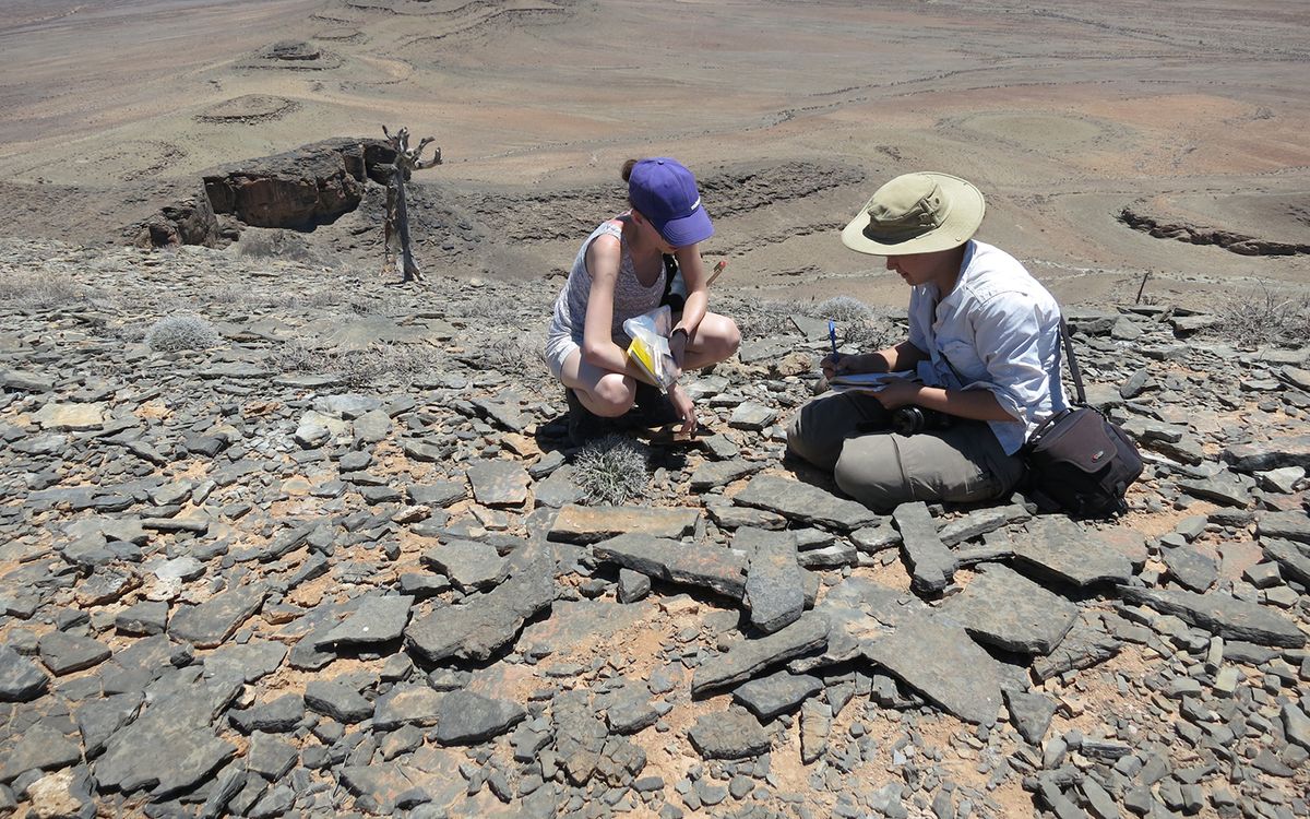 Early Animal Life Exploded on Earth Even Earlier Than Once Thought ...