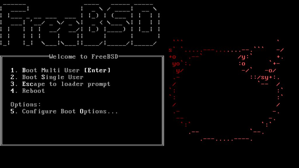 Supporting an open source operating system: a Q&A with the FreeBSD ...
