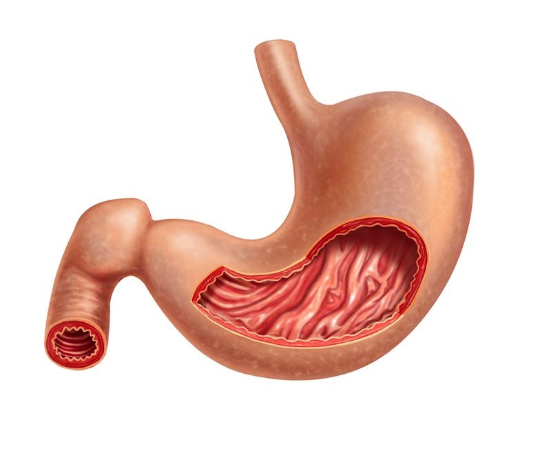 11 Surprising Facts About the Digestive System | Live Science