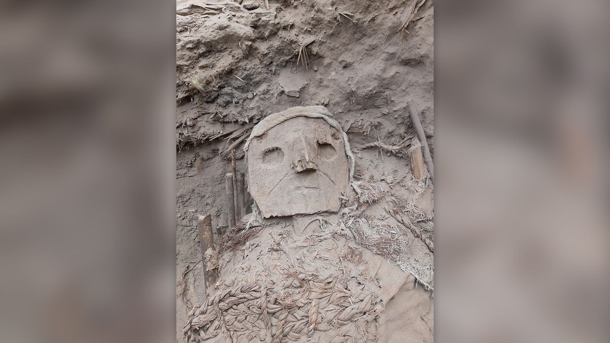 73 pre-Incan mummies, some with 'false heads,' unearthed from Wari ...