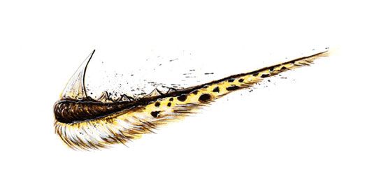 Getting wild with the Nike logo | Creative Bloq