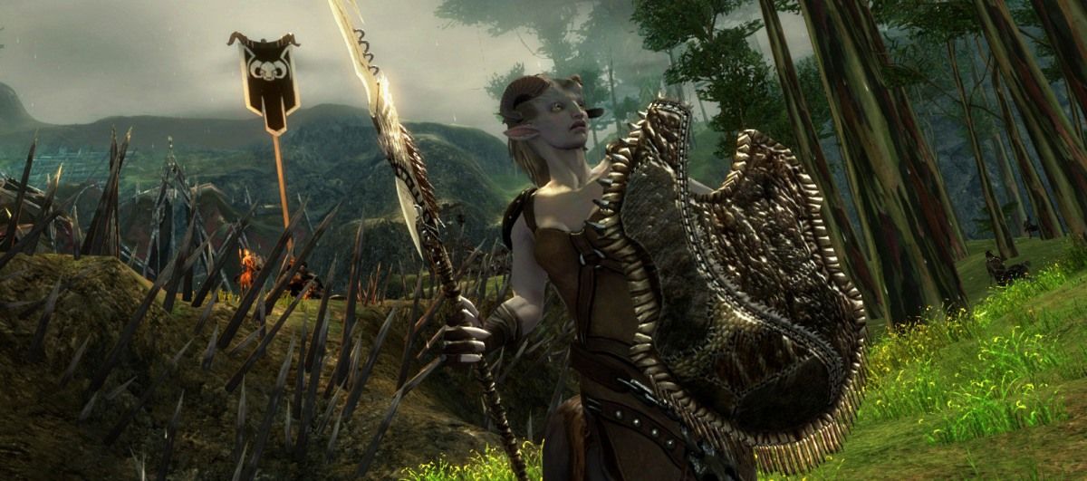 ArenaNet president talks microtransactions and the risks of going ...