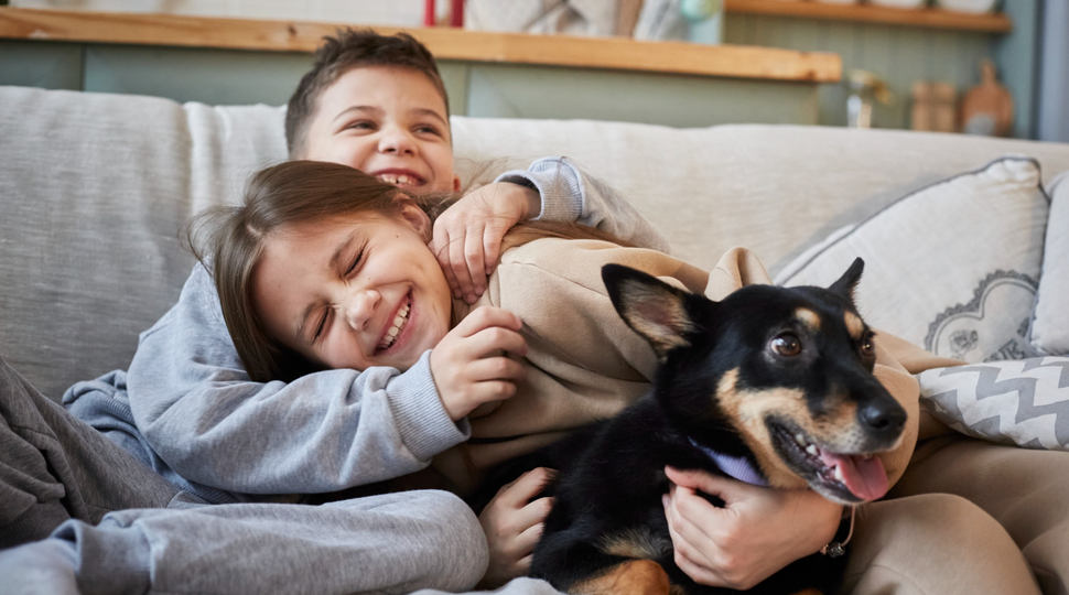 25 best dogs for families | PetsRadar