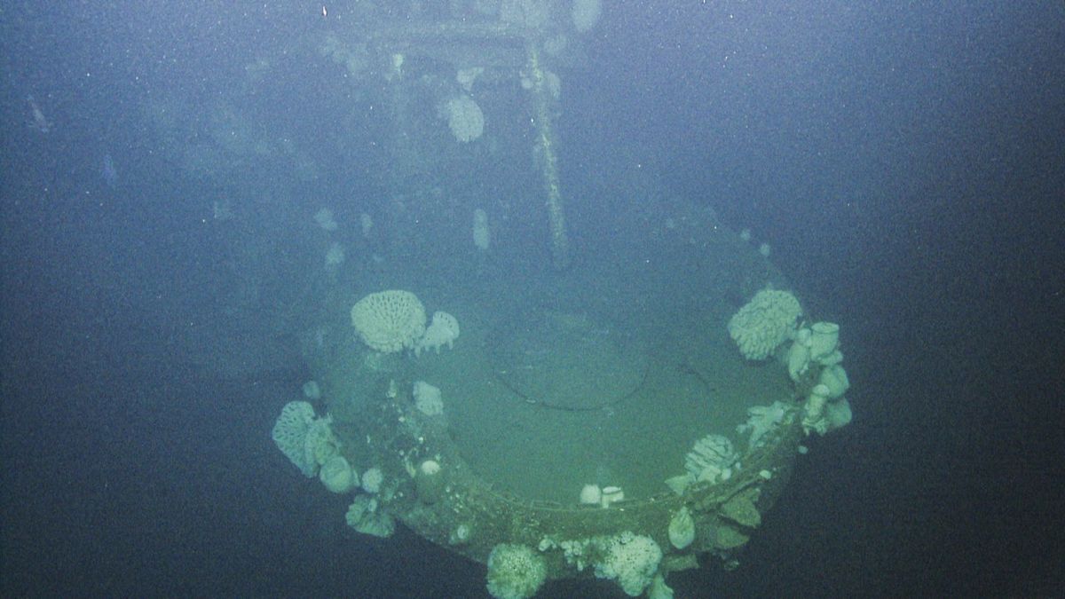 In Photos: Dive to USS Independence Wreck | Live Science