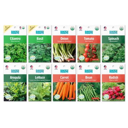 4 Seed Viability Tests to Use Before Planting Your Garden | Livingetc