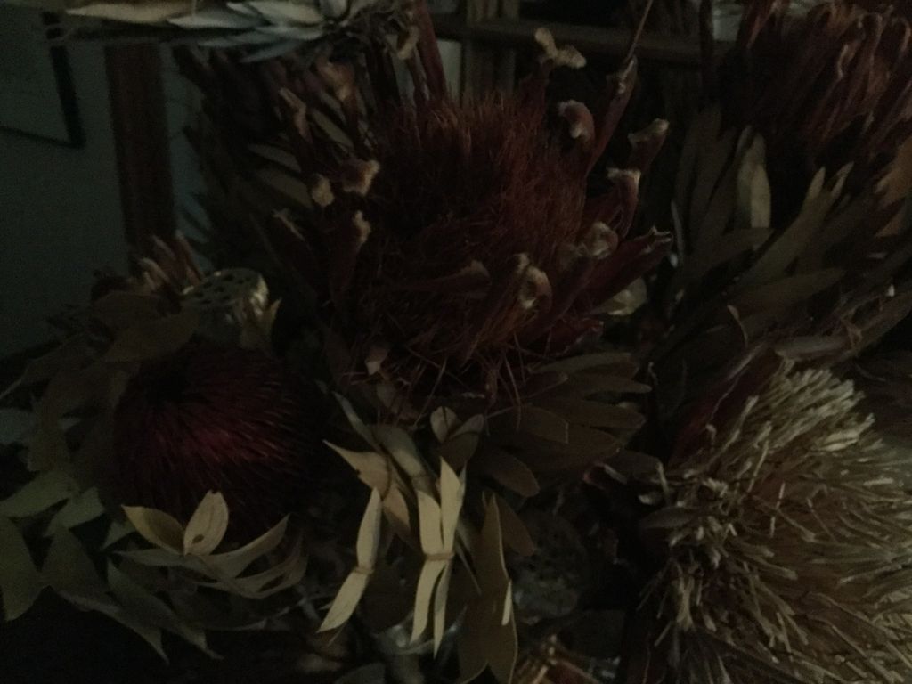 Here's how the new iPod touch camera compares to Apple's best! | iMore