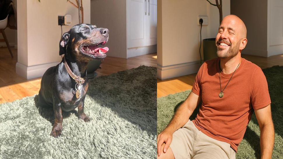 I just turned dogs into humans using this viral ChatGPT trend — here's ...