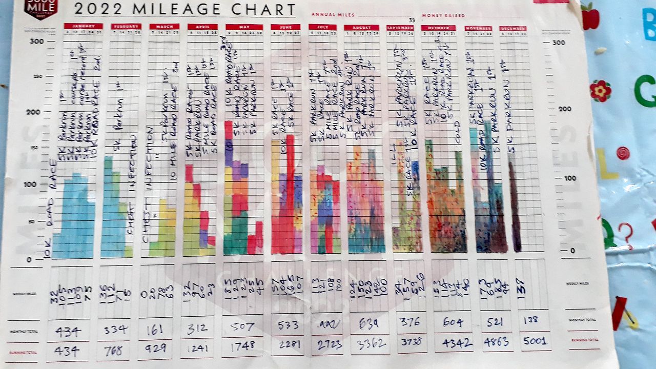 Analogue Strava - the best and most colourful 2022 mileage charts of ...