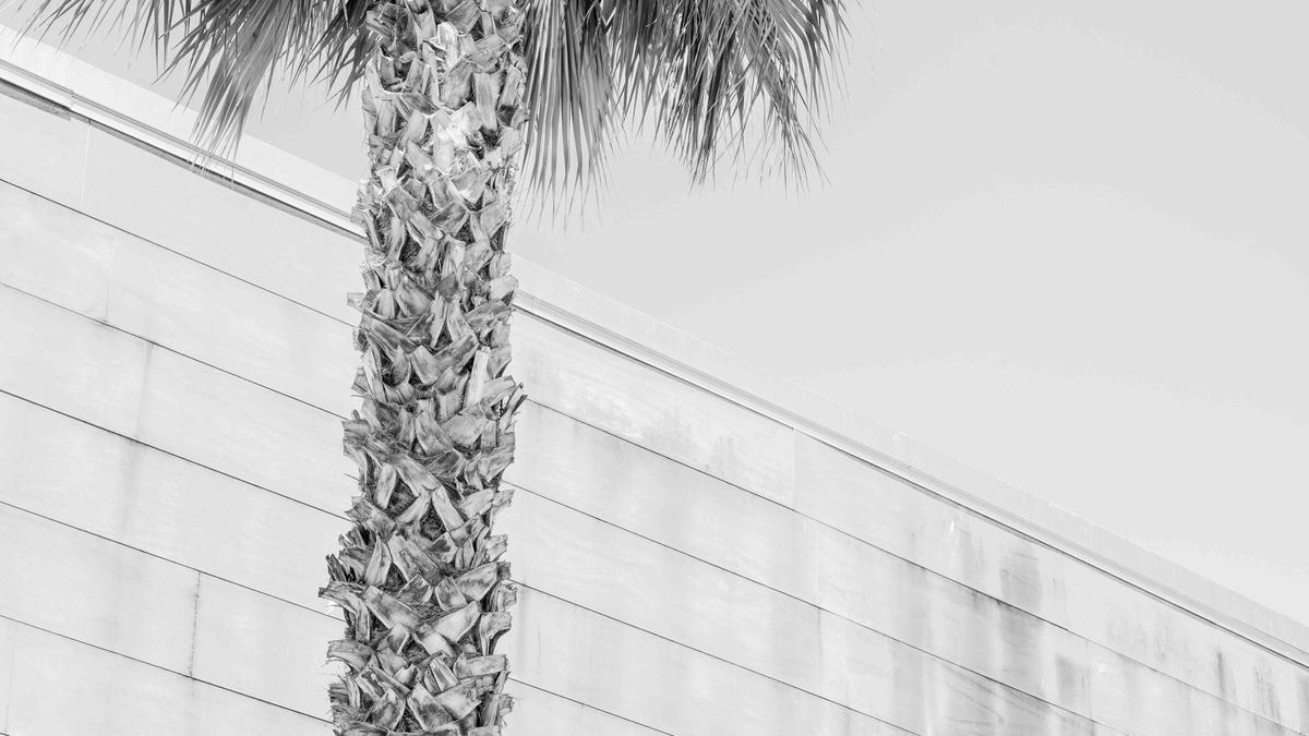 The art of seeing: #1 How and why I take photographs | Digital Camera World