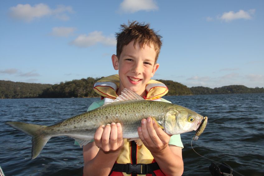 Evolutionary scientists find surprising new link between humans and ...