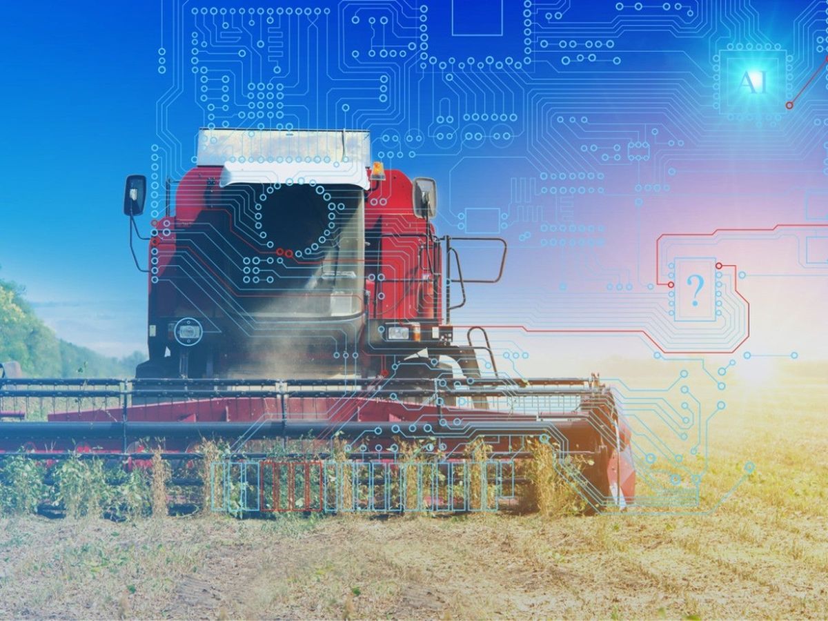 Weeding Robots: Could AI Replace Herbicide? | Gardening Know How