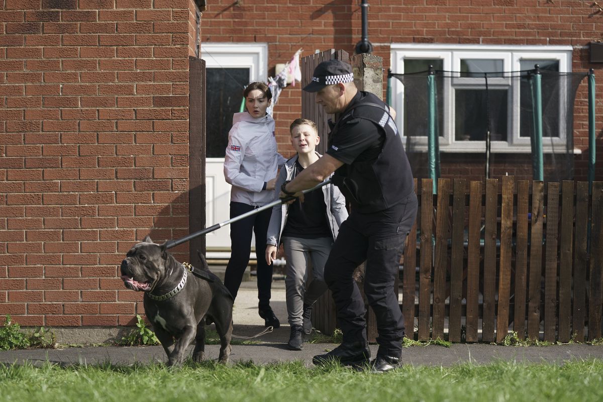 The Gathering: where to watch, cast, plot, trailer, interviews | What ...