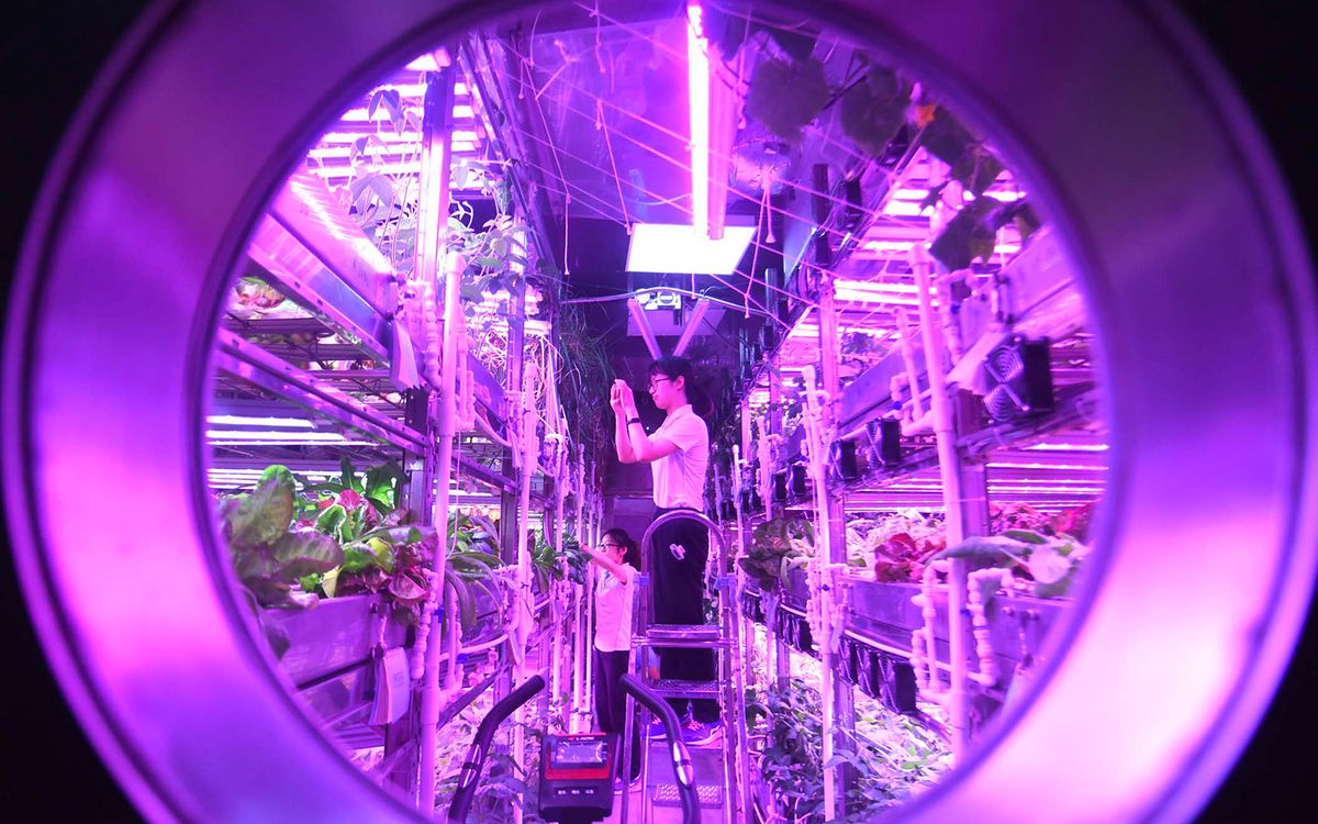 China Wraps Up 1-Year Mock Moon Mission to Lunar Palace 1 | Space