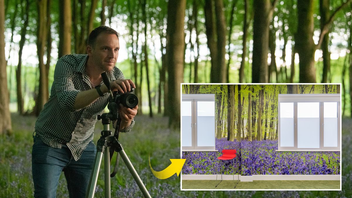 Want a wall-length panorama? Here's how to create jaw-dropping giant ...
