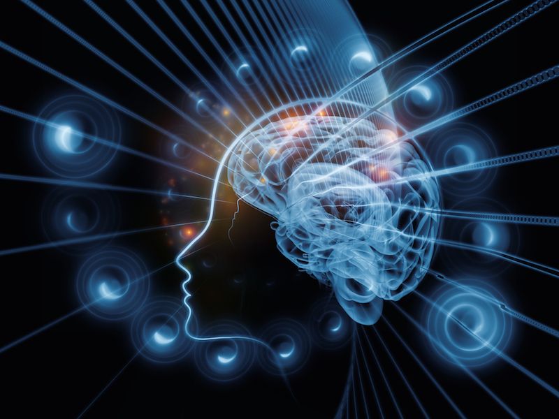 Can Microbes in the Gut Influence the Brain? | Live Science