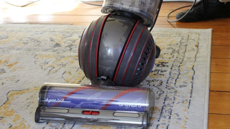 Dyson Ball Animal 3 upright vacuum cleaner review | Homes and Gardens