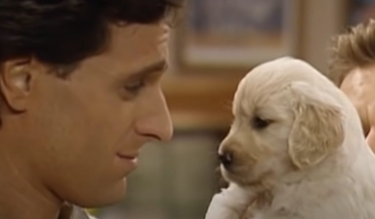 The 10 Best Full House Episodes, Ranked | Cinemablend
