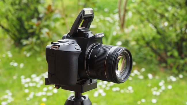 The best cheap Canon camera deals | Digital Camera World