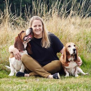 Three reasons why your dog barks at everything (and how to stop it ...