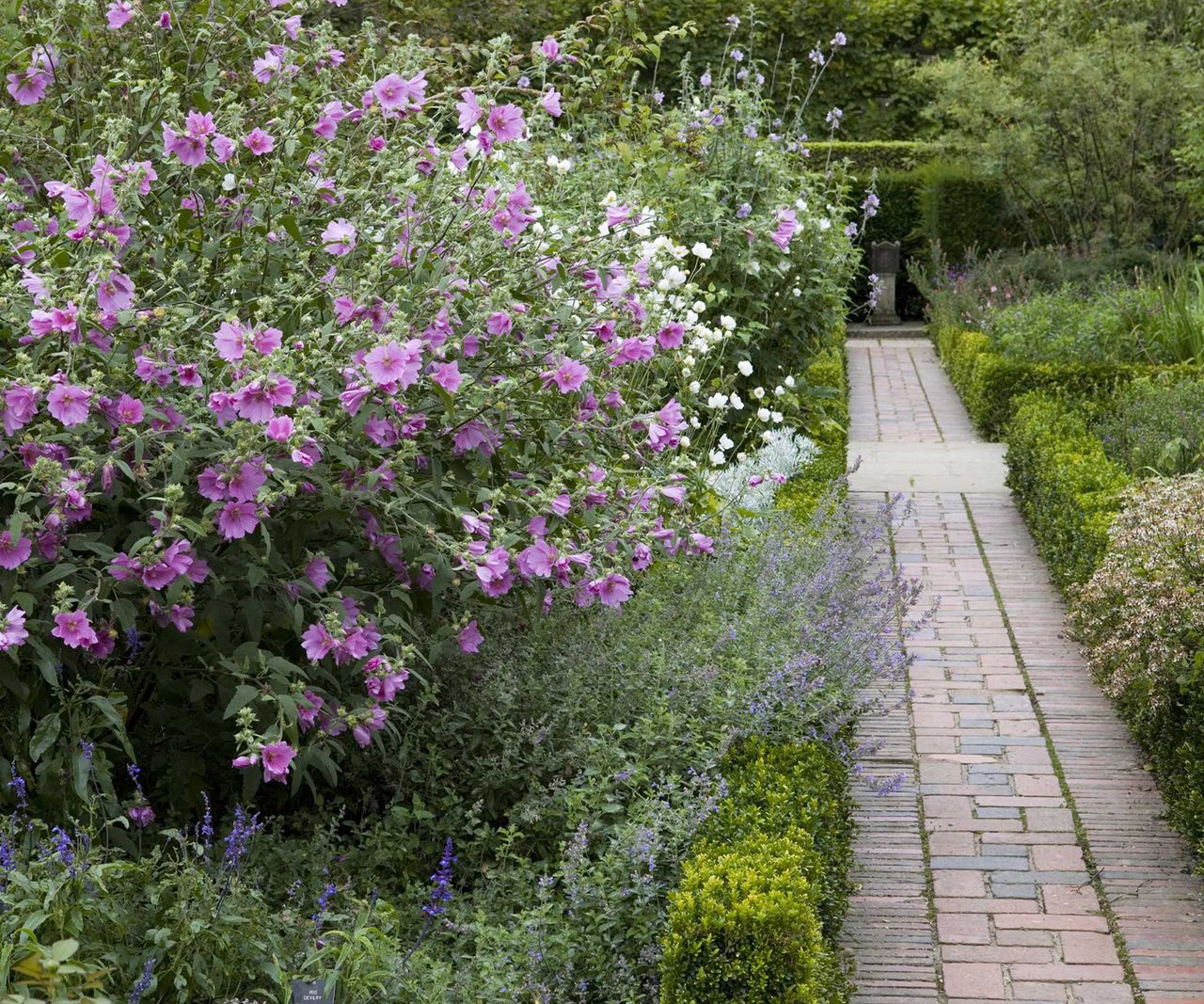Landscaping with shrubs: 10 looks for your backyard | Homes and Gardens