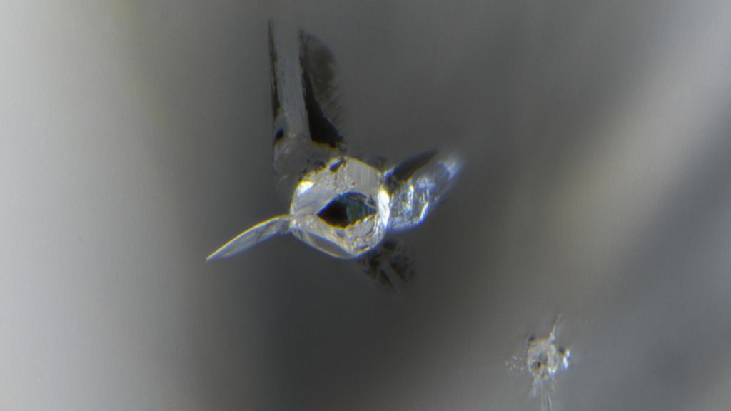 Rare diamonds suggest water lurks much deeper in Earth's interior than ...