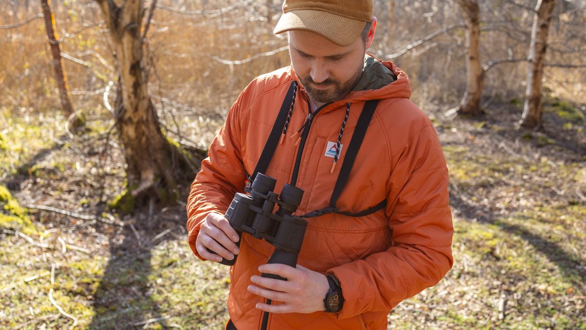 Best camera harness in 2026: carry your cameras hands-free and in ...