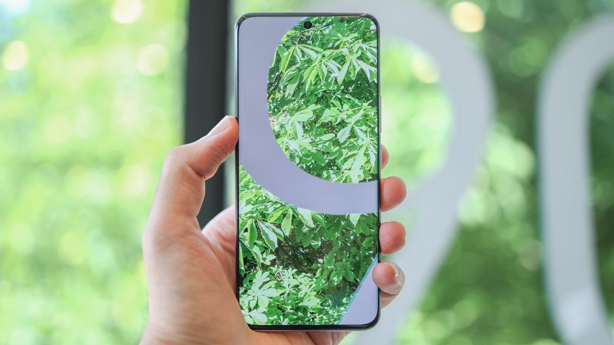 Honor 90 review: screen and storage supreme – but how's the 200MP ...