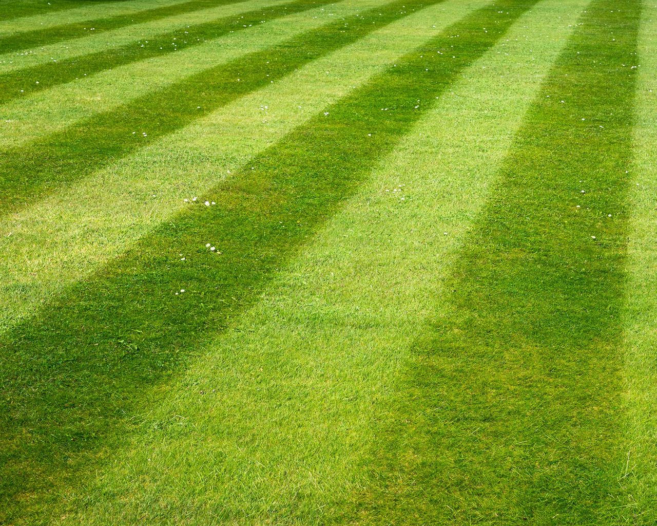 How to mow stripes on a lawn: tips for impressive results | Gardeningetc