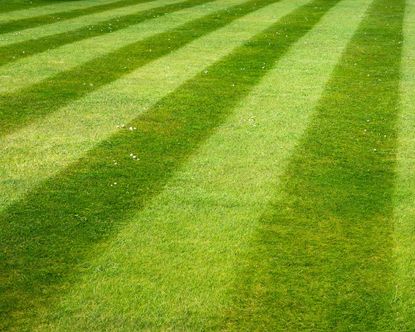 How to mow stripes on a lawn: tips for impressive results | Gardeningetc