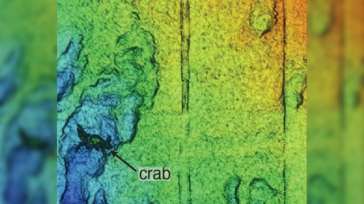 Clearest-ever seafloor maps show deep-sea 'Grand Canyon' off US coast ...