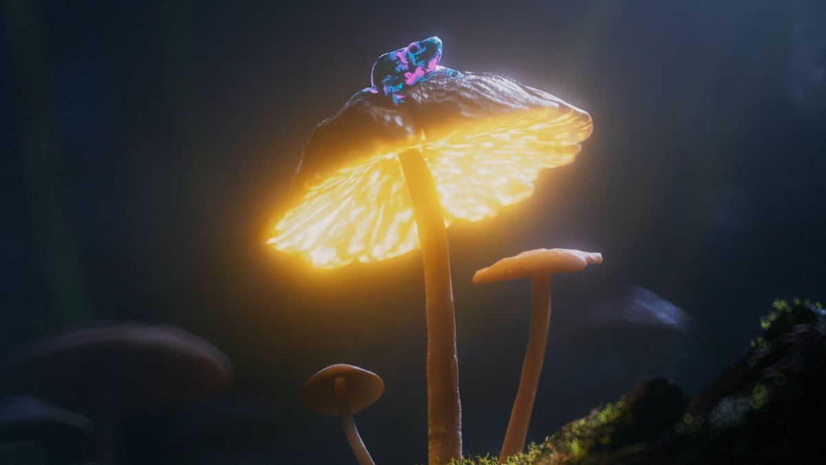 Redshift 3.5.19 review: faster than ever with new node for stylised ...