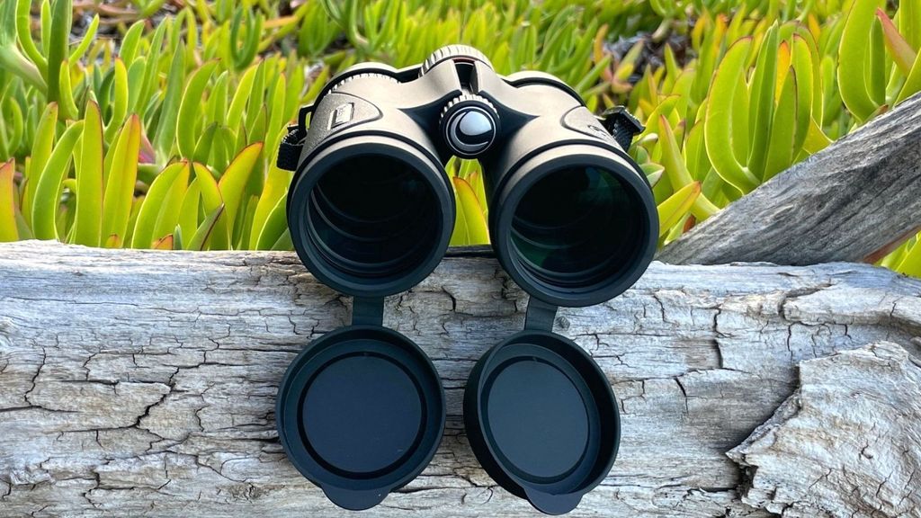 The best binoculars in 2024 | Digital Camera World