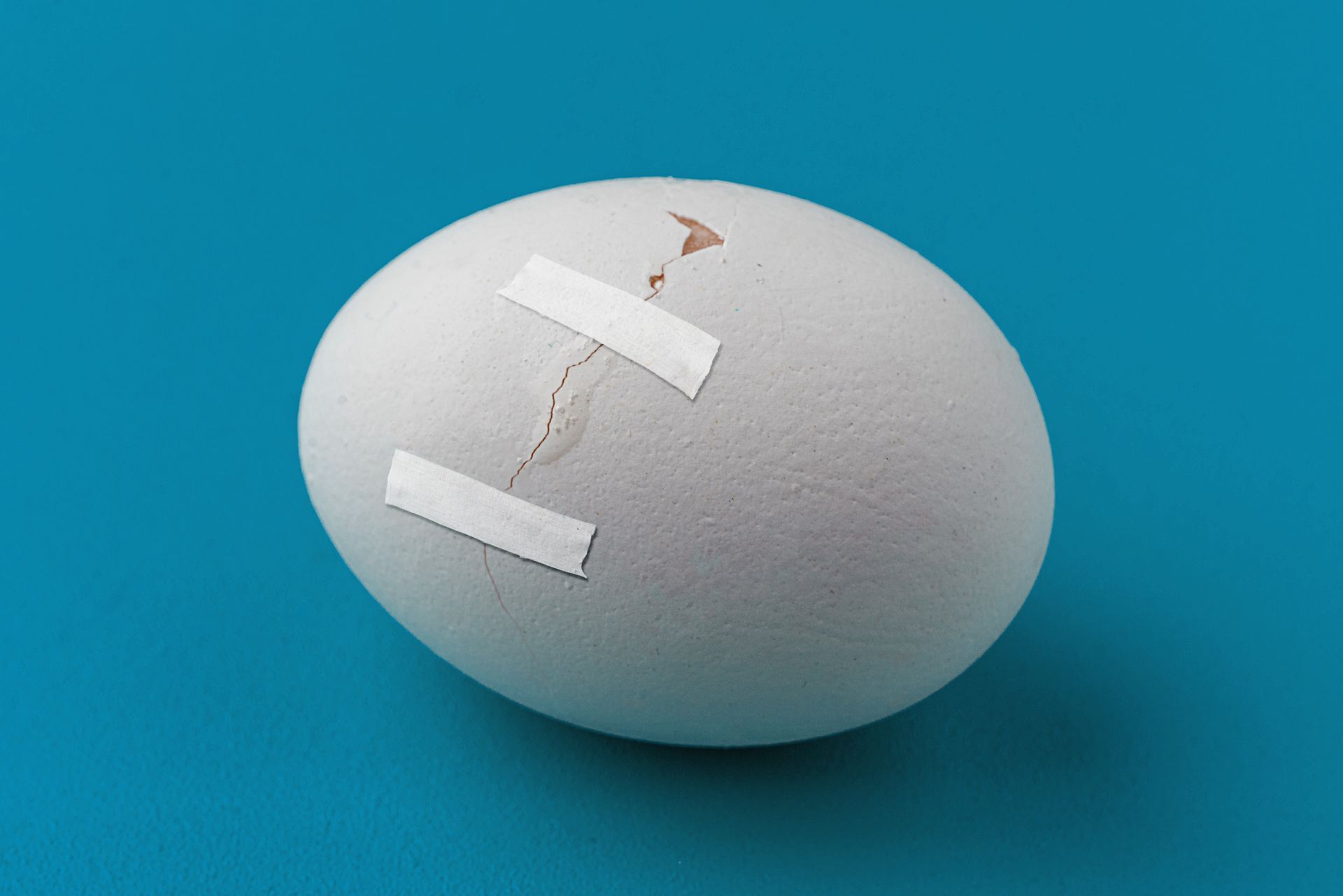 Newegg's unveils 'Refreshed' refurb program — claims you'll actually ...