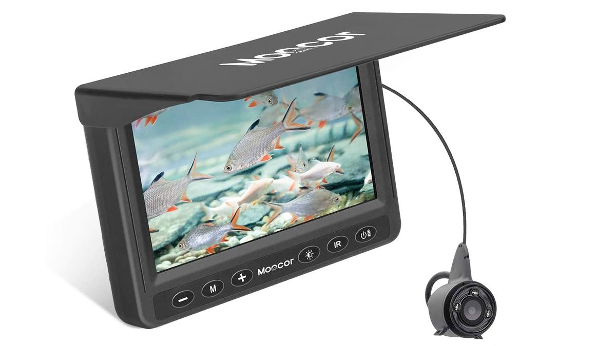 The best underwater fishing camera | Digital Camera World