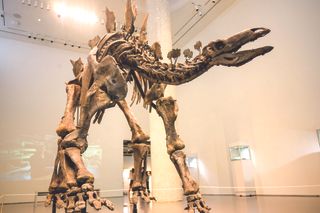 The Week Junior BIG DEBATE | The Week Junior