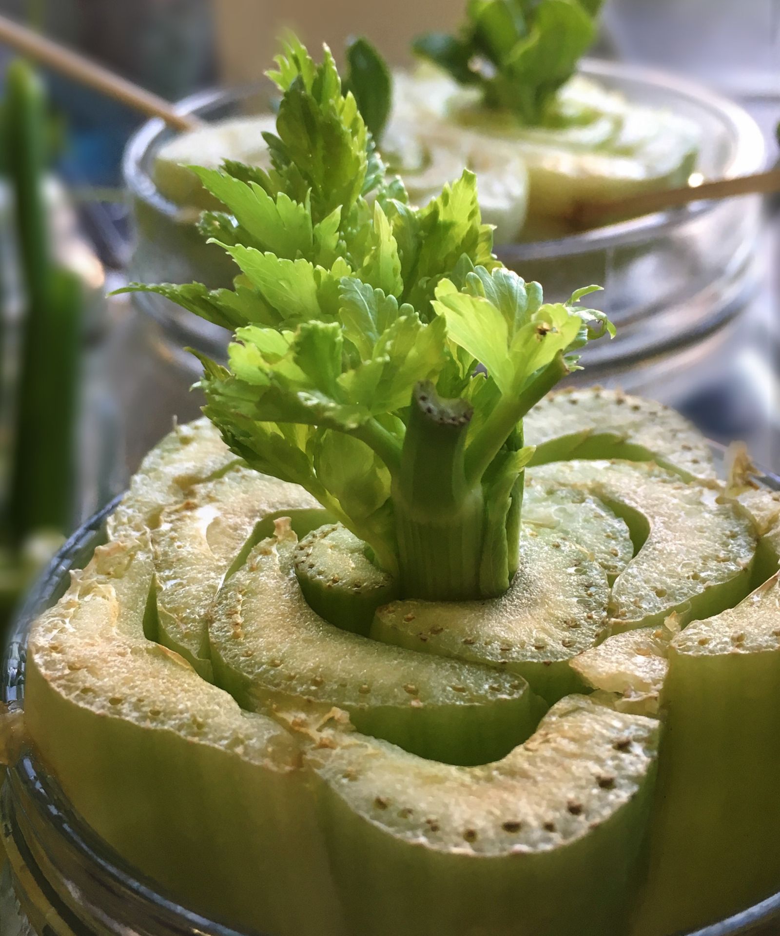 How to grow celery from a stalk: 6 easy steps to follow | Homes and Gardens