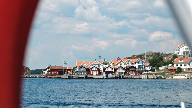 The Vivo V60 launches with a Zeiss co-engineered camera system aimed at ...