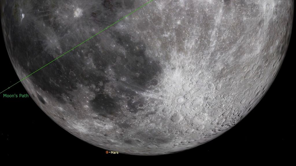 Watch the Cold Moon rise tonight, the last full moon of 2022 | Space