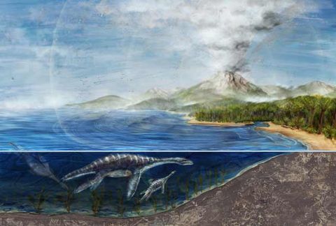 Greatest Mysteries: What Causes Mass Extinctions? | Live Science