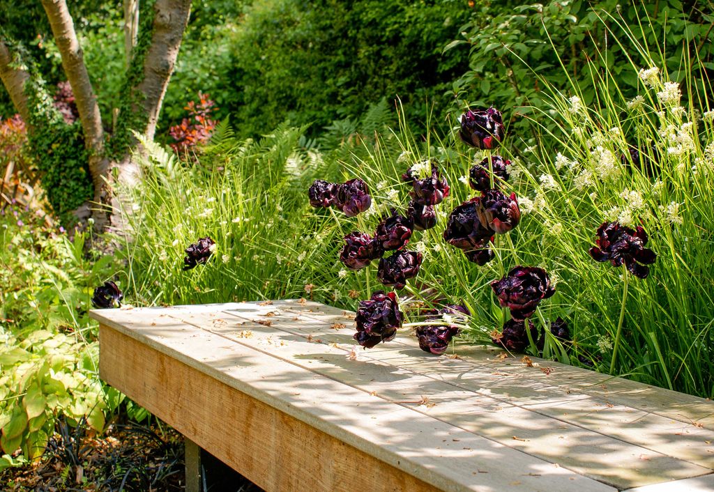 Shade garden ideas: 14 gorgeous designs to transform the shadowy spots ...