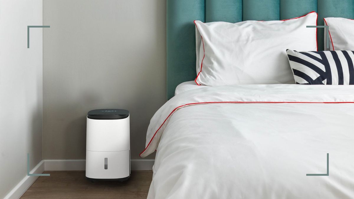 Expert guide on buying the best dehumidifier for a bedroom | Woman & Home