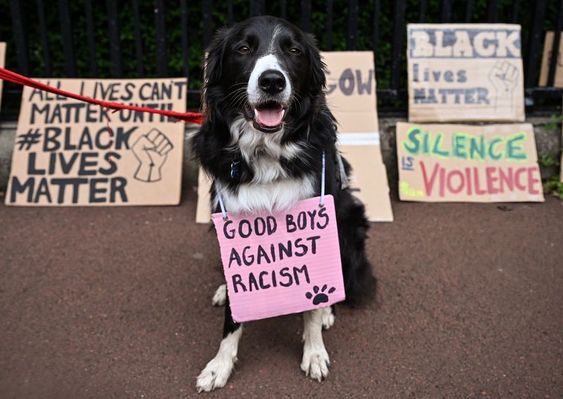 47 Black Lives Matter Signs Ideas | BLM Signs for Protesters 2023 ...