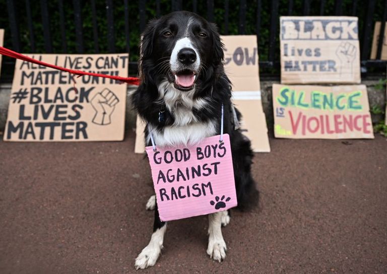 47 Black Lives Matter Signs Ideas | BLM Signs for Protesters 2023 ...