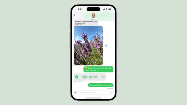 Here's every Messages feature that iOS 18 adds to your green bubble ...