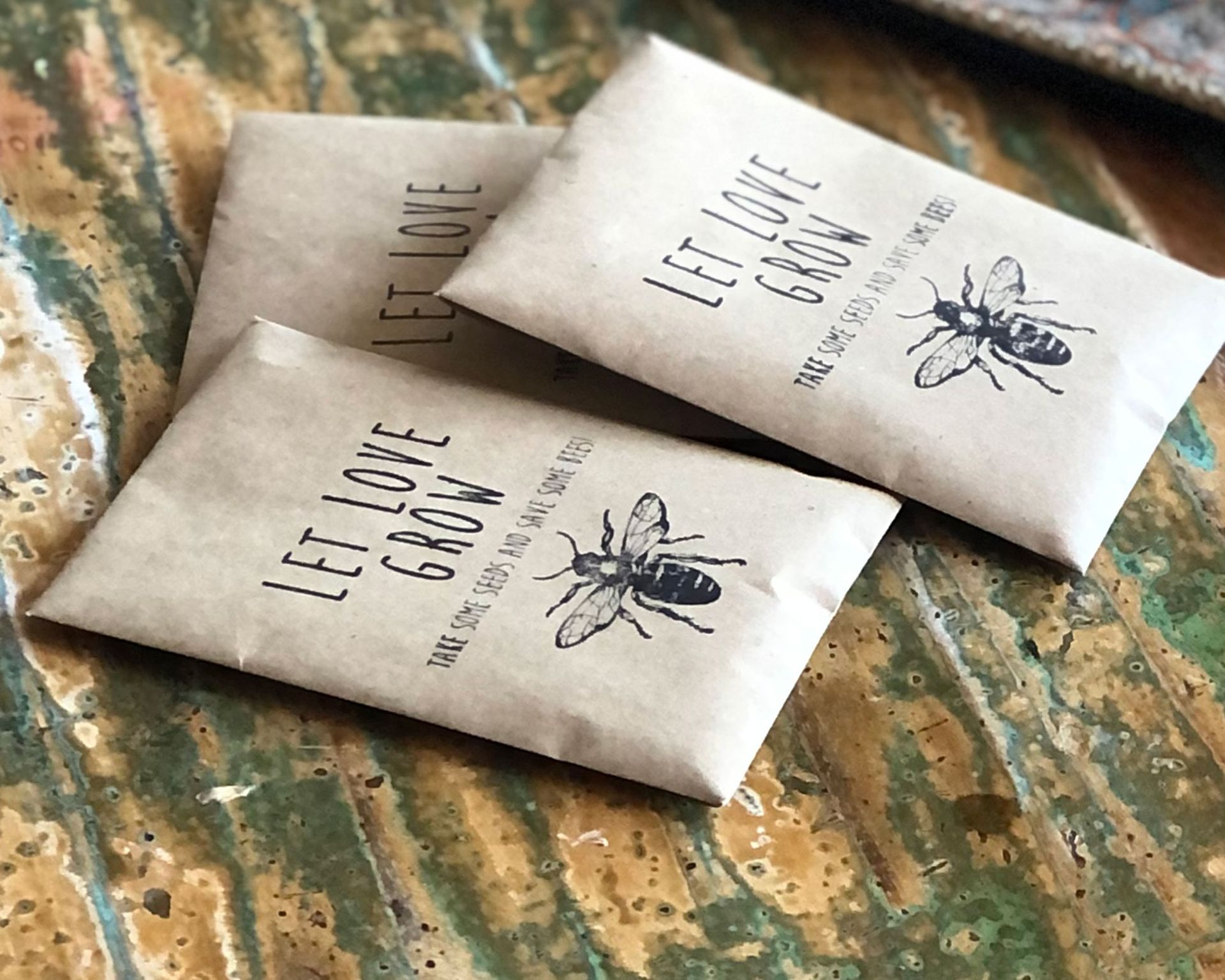 Collecting seeds: how to collect and store plant seeds | Homes and Gardens