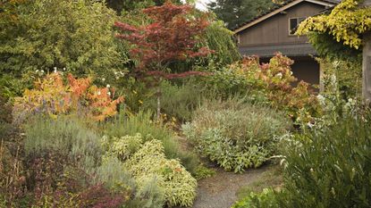 Neighbor's tree blocking sunlight? Here's what to do | Homes and Gardens