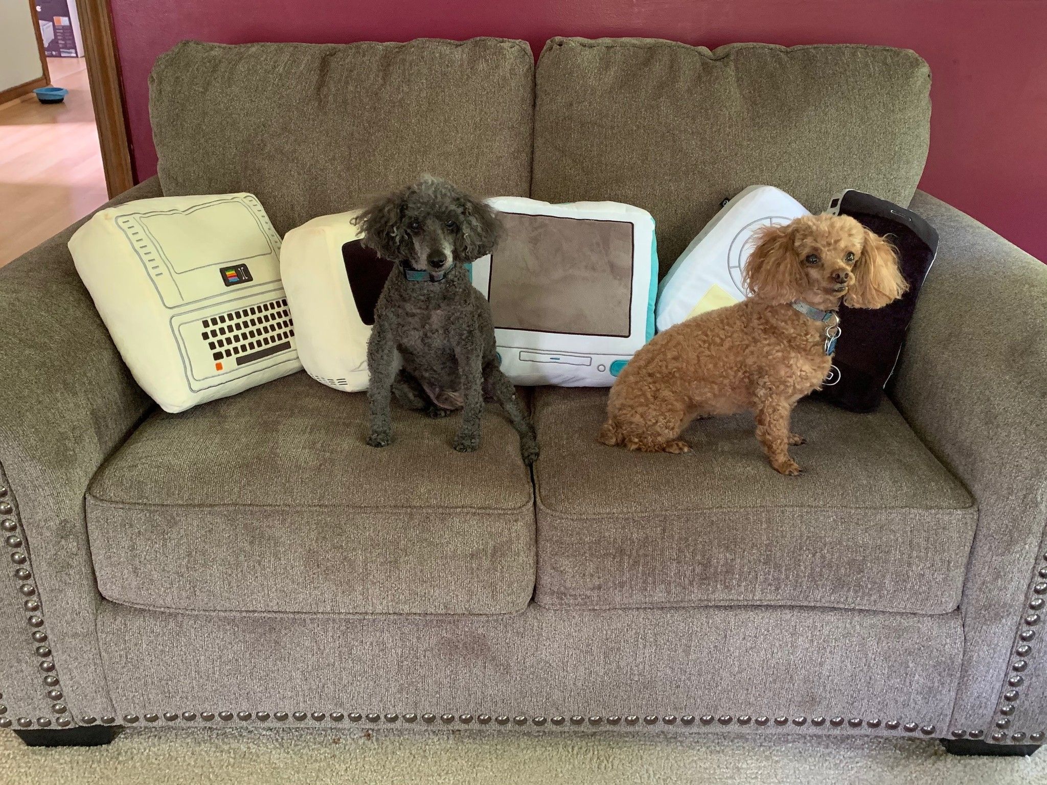 Throwboy pillows will delight Apple fanboys and fangirls | iMore