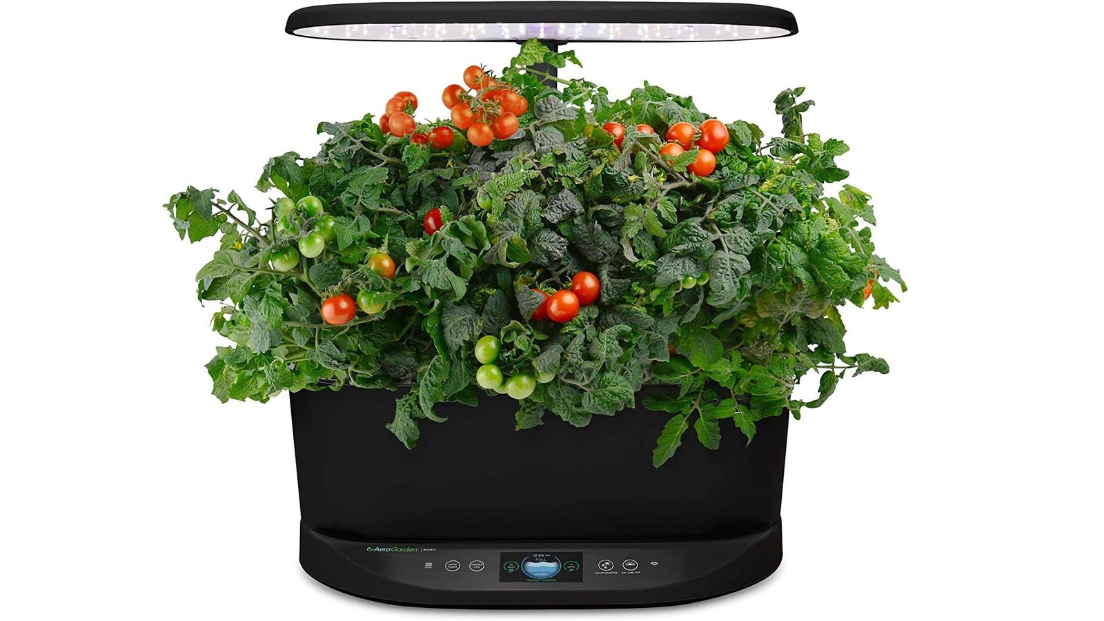 15 smart kitchen ideas: tech to transform how you live | Livingetc