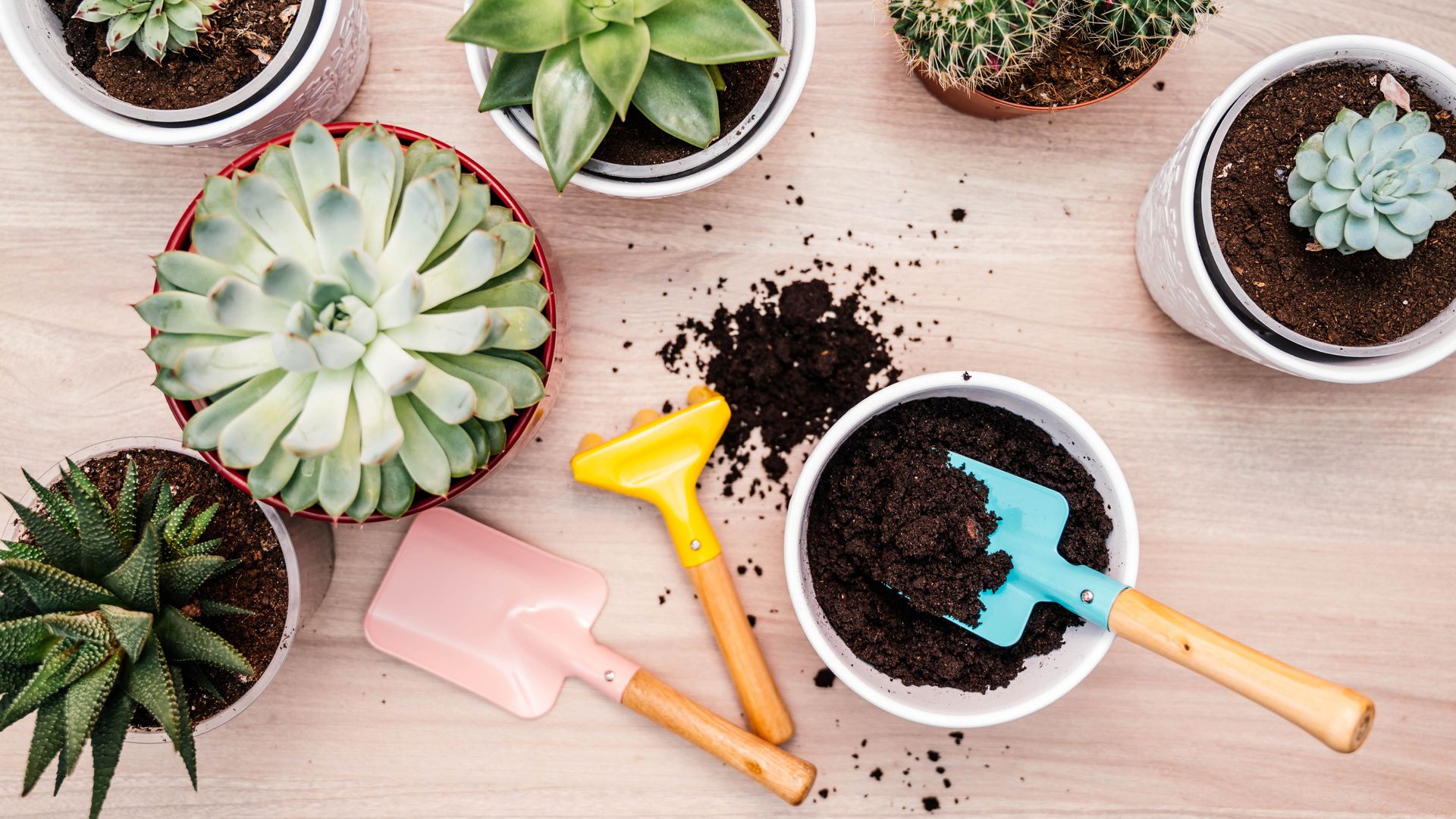 9 mistakes you make when repotting a plant | Tom's Guide